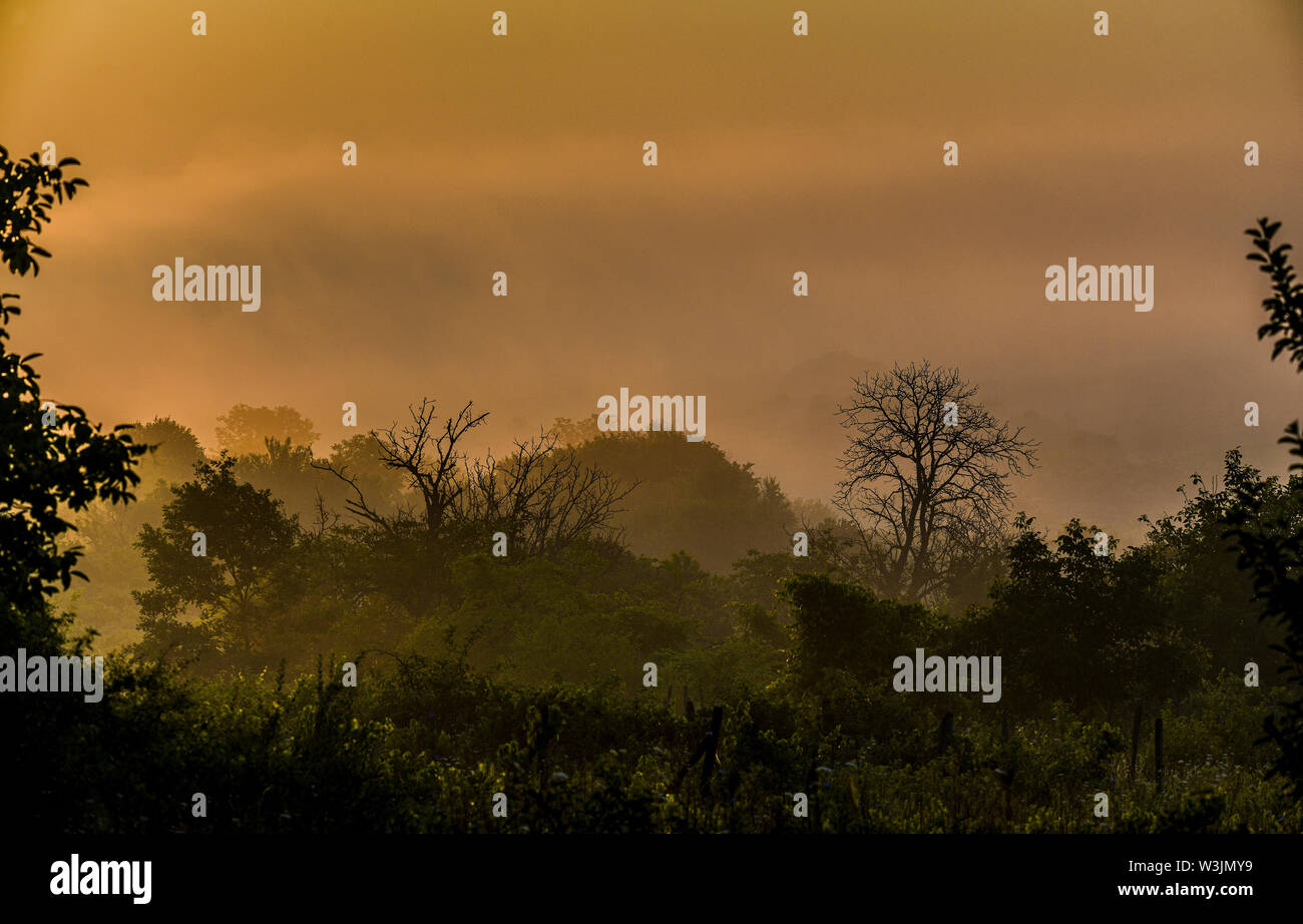 Strandja mountains bulgaria wildlife hi-res stock photography and ...