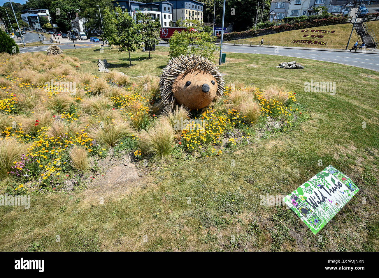 A giant hedgehog on Trafalgar roundabout in Truro, Cornwall, where the ...