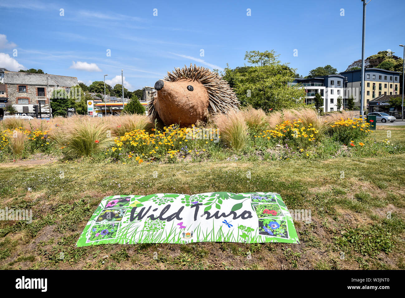 A giant hedgehog on Trafalgar roundabout in Truro, Cornwall, where the ...