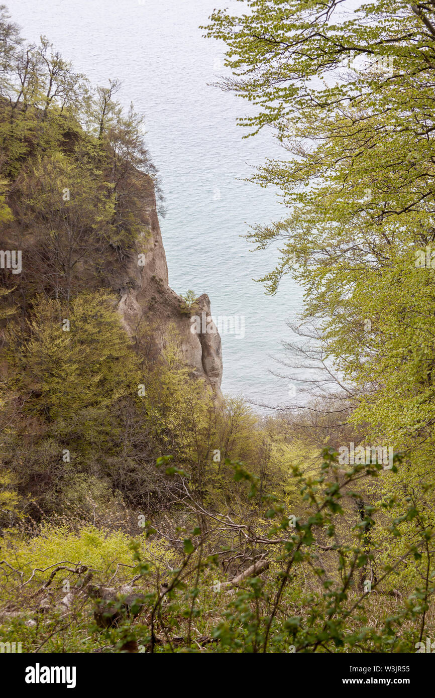 White cliffs - Mon in Denmark Stock Photo - Alamy
