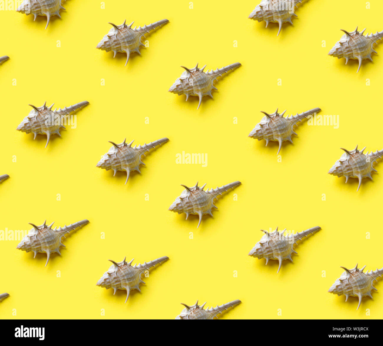 Trendy sunlight summer pattern made with white sea shell on yellow ...