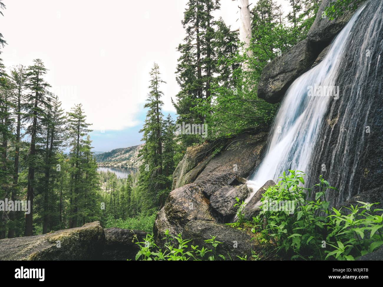 Lake Tahoe. waterfall flowing down the cliff near plants and trees ...