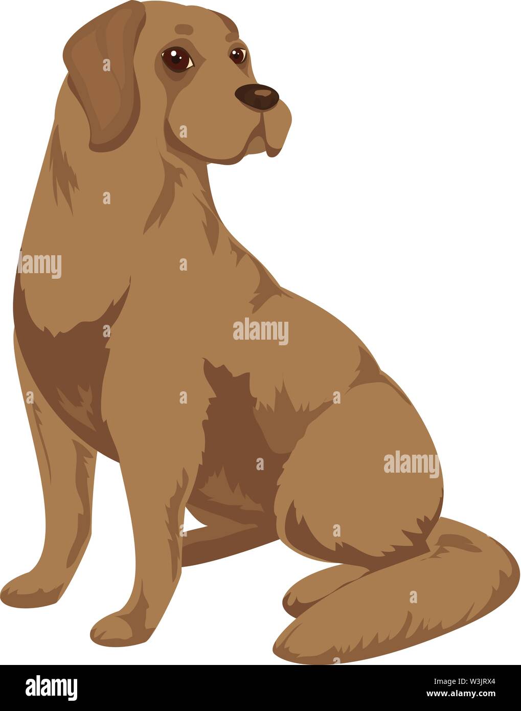 Brown labrador icon. Cartoon of brown labrador vector icon for web ...