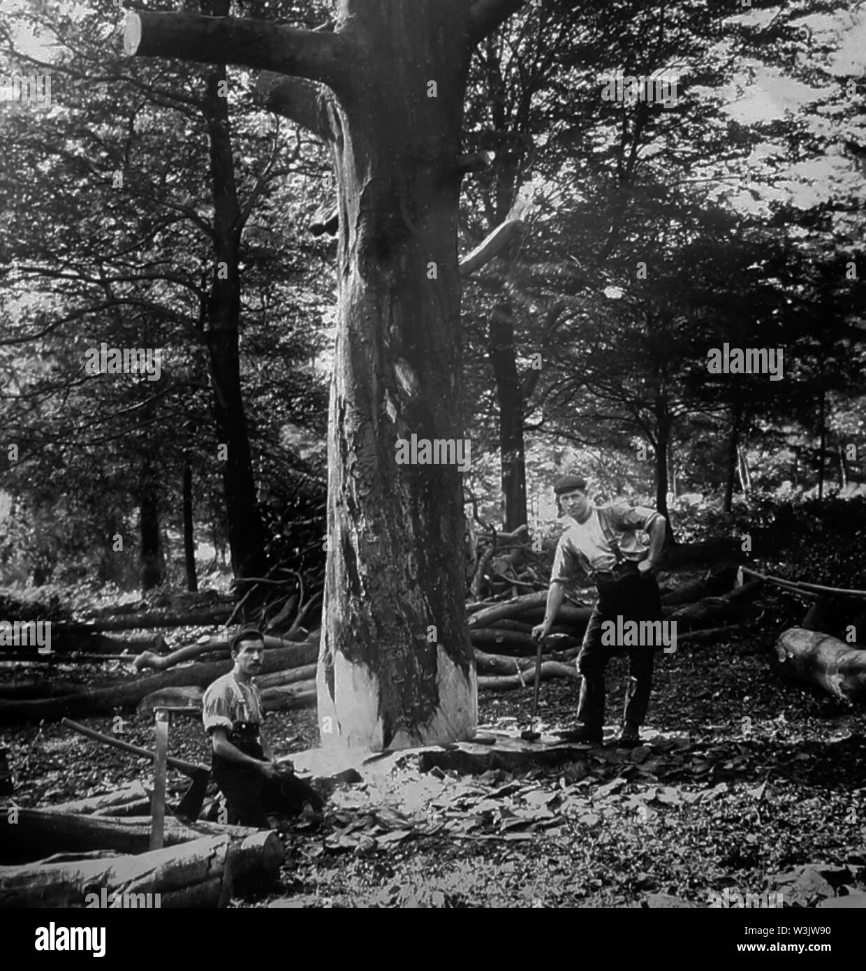 Timber cutters hi-res stock photography and images - Alamy