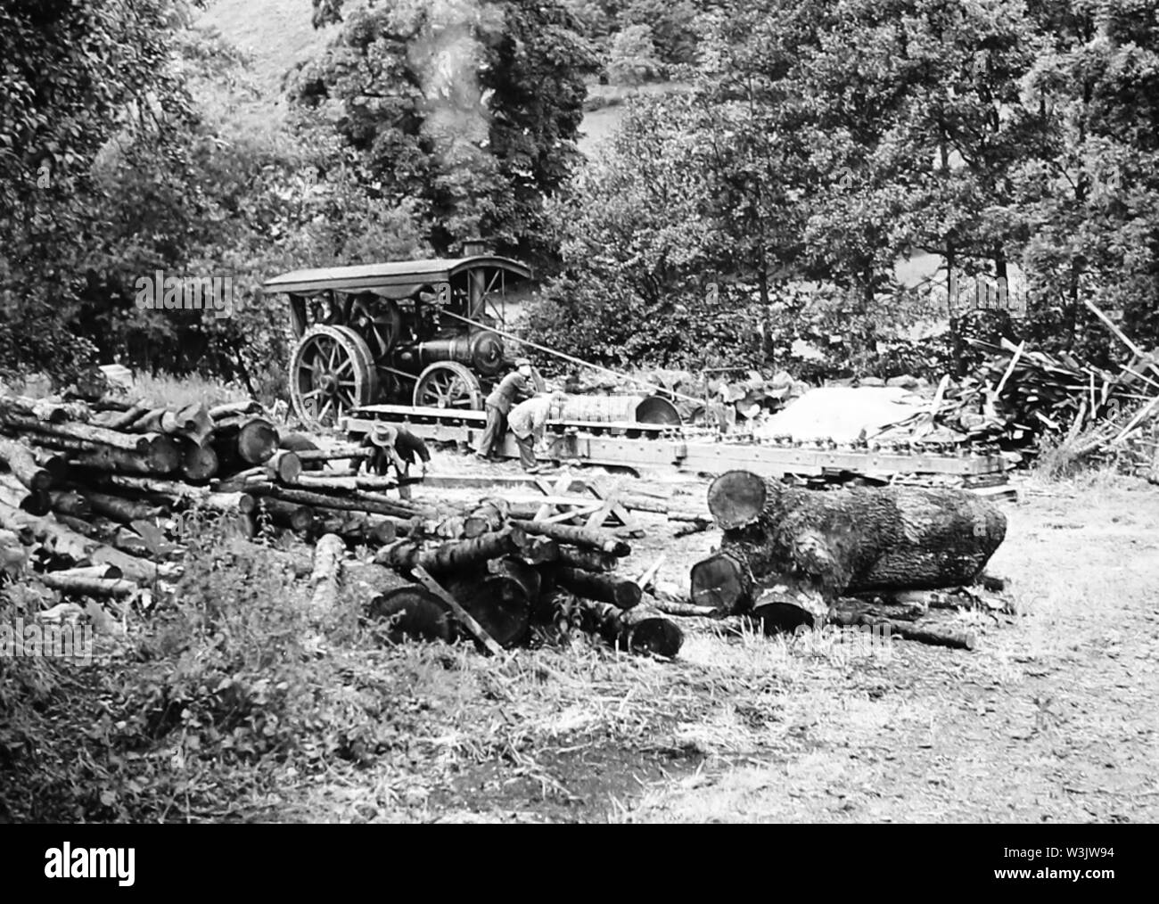 Traction engine at a sawmill Stock Photo - Alamy