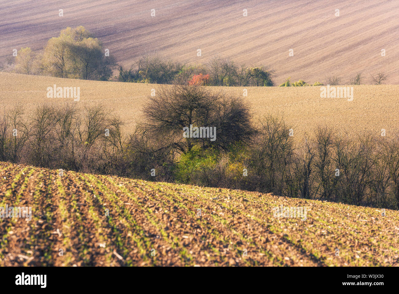 Agricultural wallpaper hi-res stock photography and images - Alamy
