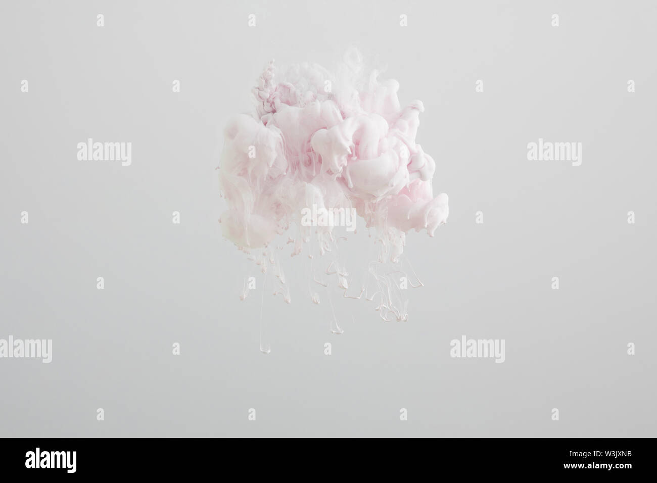 Close up view of light pink paint splash isolated on grey Stock Photo ...
