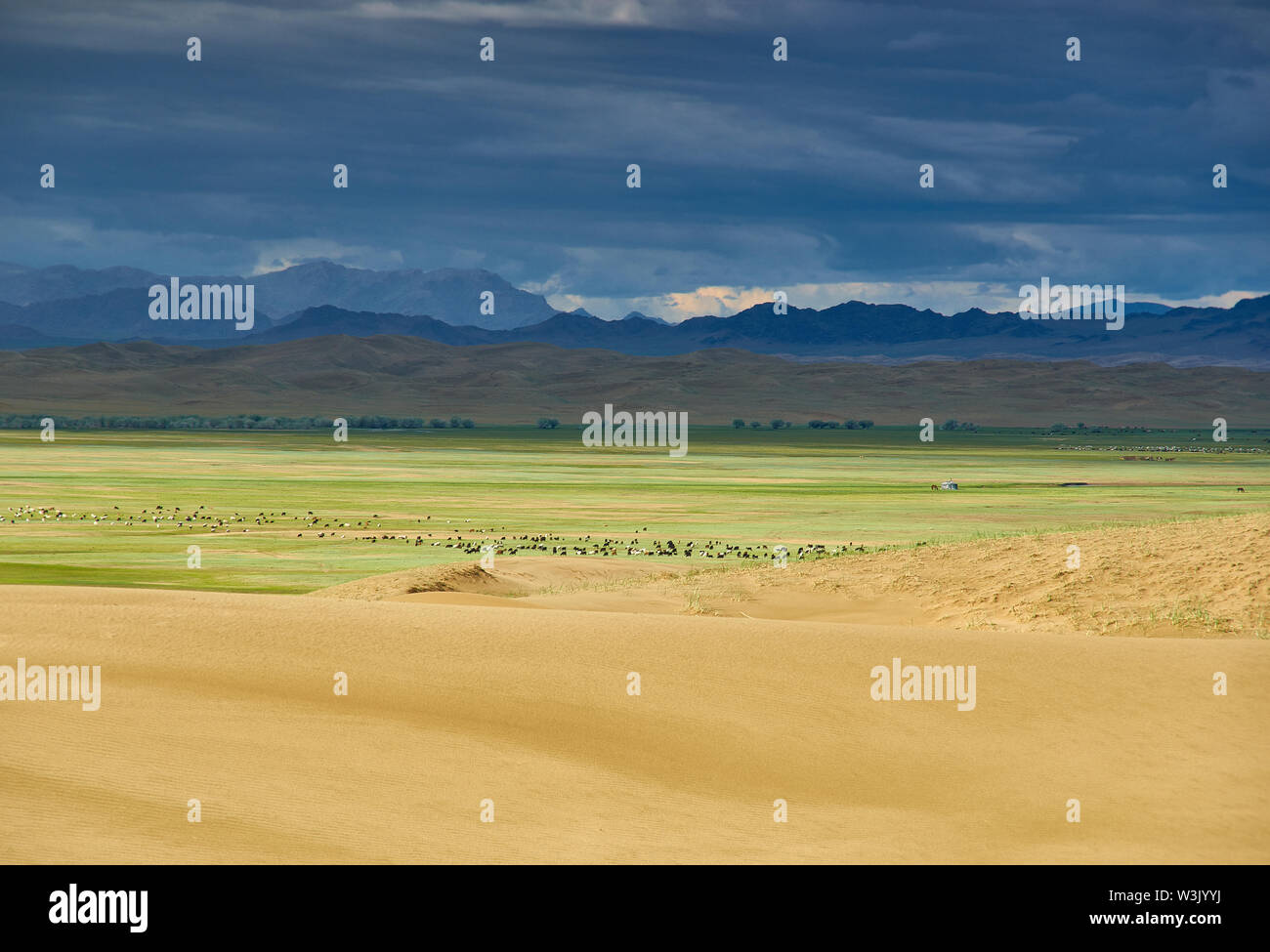 Mongol Els sand dunes of lake Durgen Nuur Stock Photo - Alamy