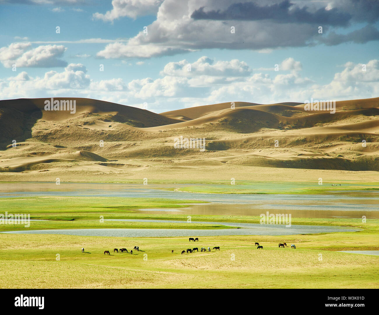 Khongor els sand dunes hi-res stock photography and images - Alamy