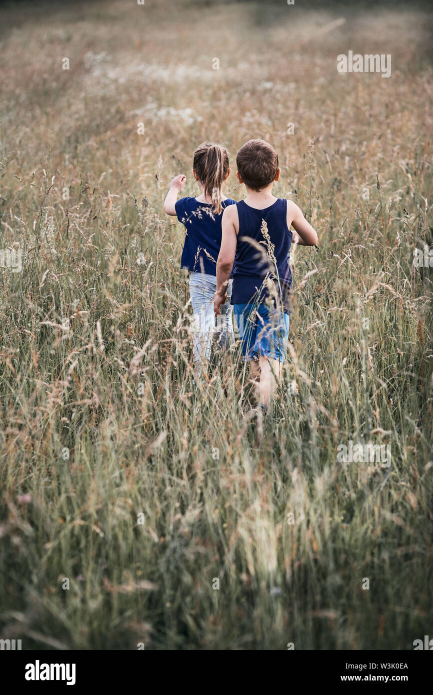 Little happy kids playing in a tall grass in the countryside. Candid ...