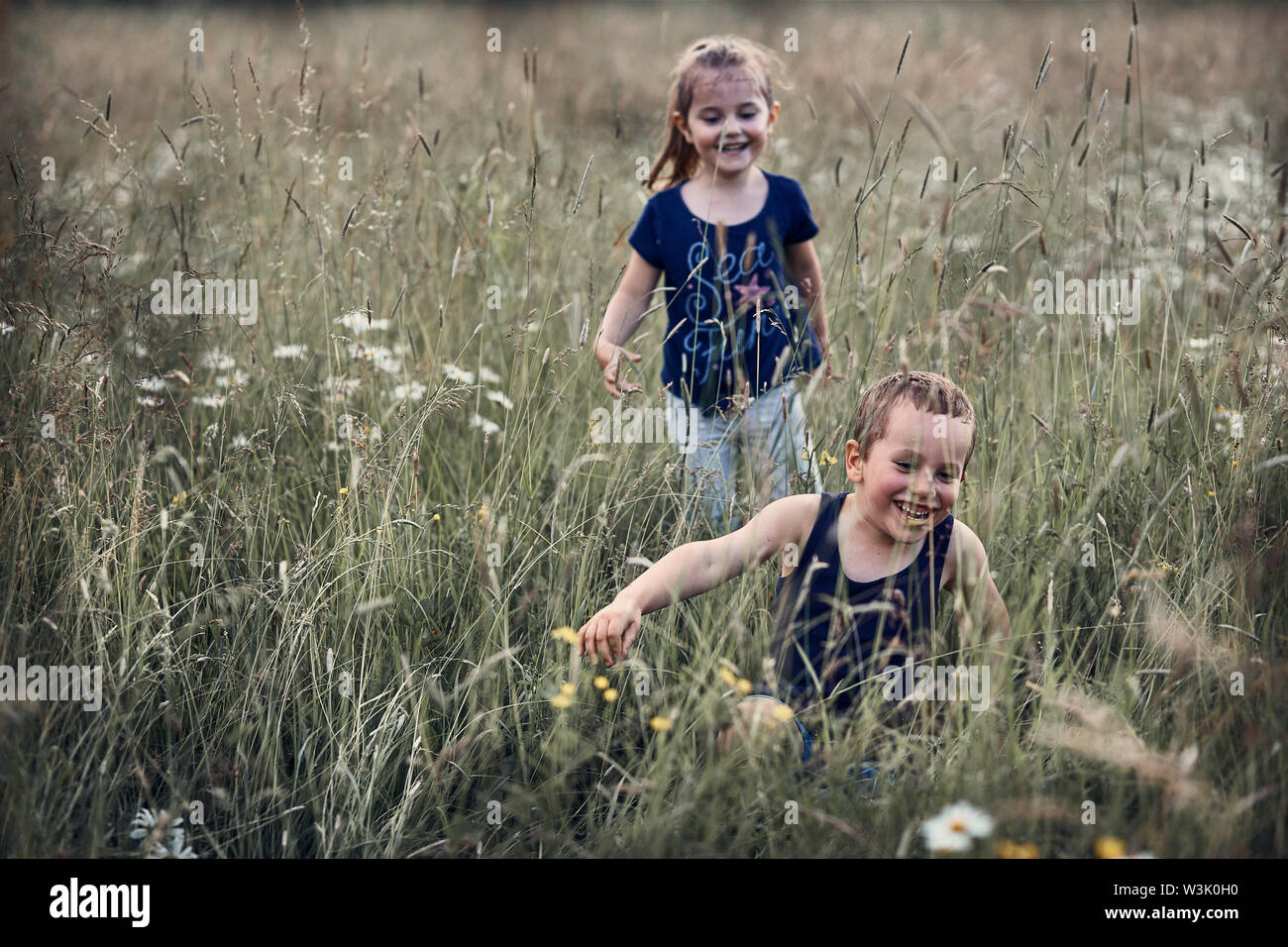Little happy kids playing in a tall grass in the countryside. Candid ...