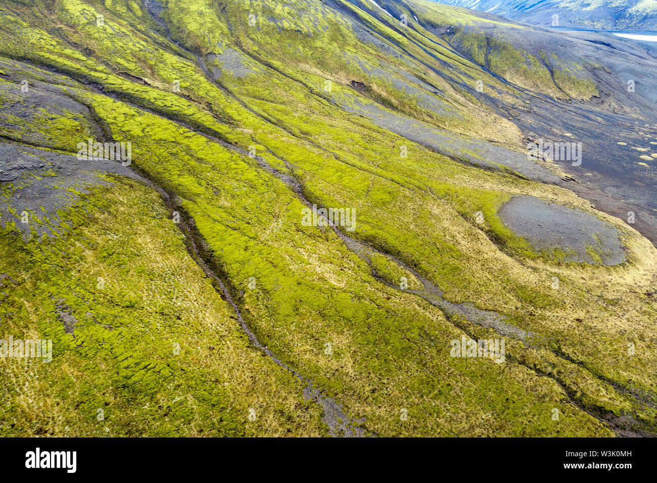 Vibrant green Icelandic moss on lava flow Stock Photo - Alamy