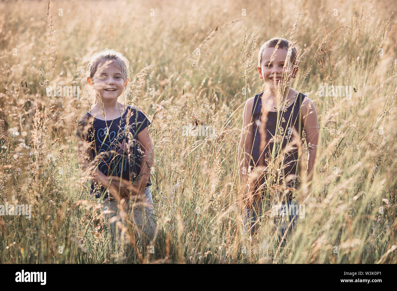 Little happy smiling kids playing in a tall grass in the countryside ...
