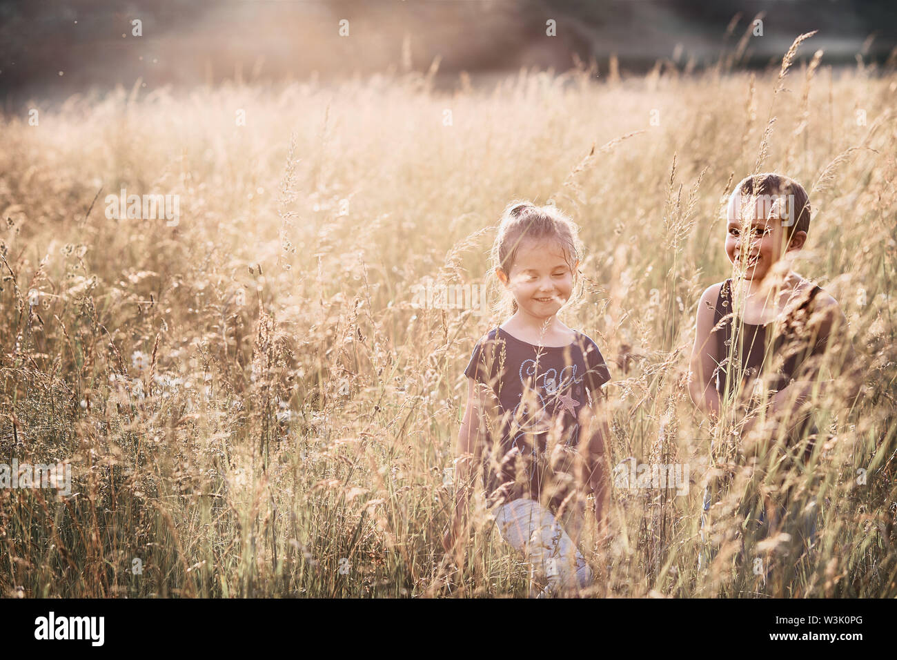 Little happy smiling kids playing in a tall grass in the countryside ...