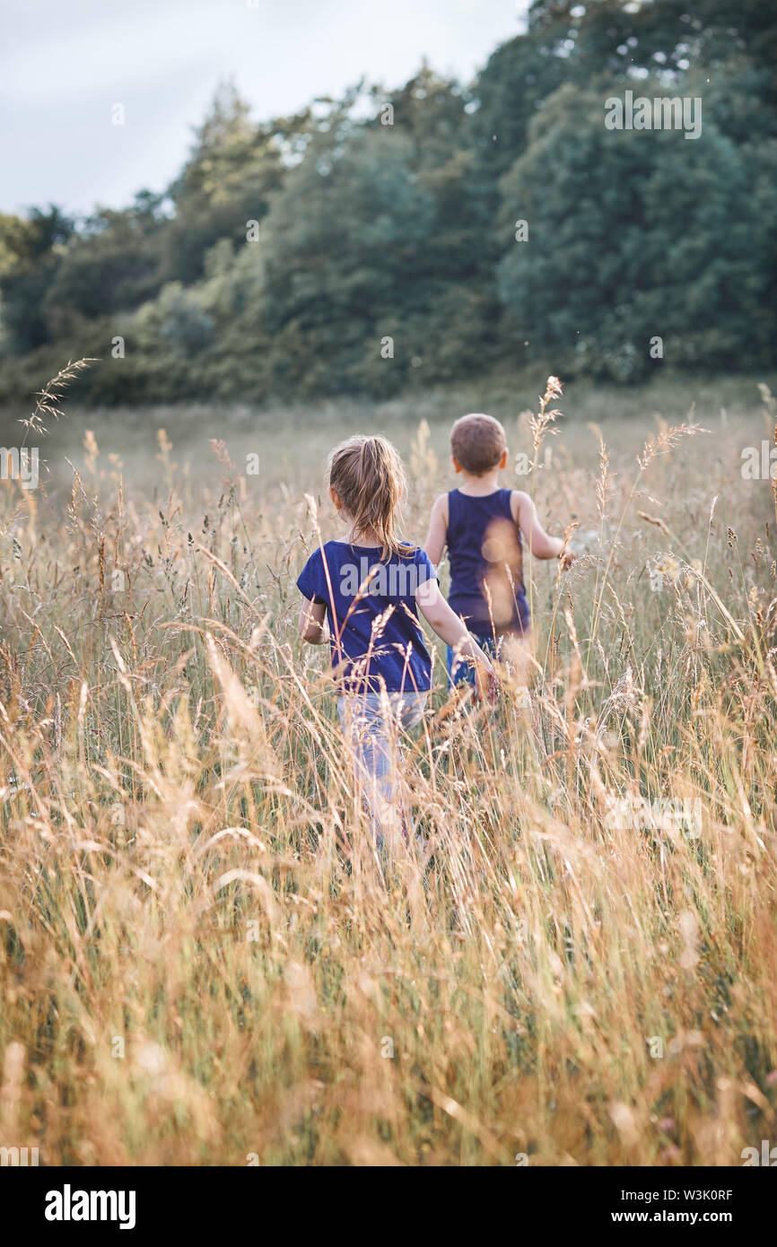 Little happy kids playing in a tall grass in the countryside. Candid ...