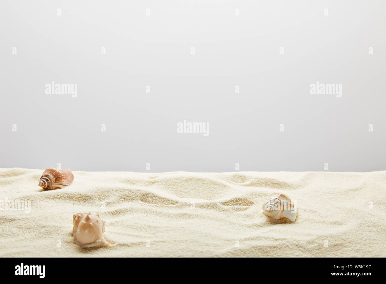 scattered seashells on textured sand on grey background Stock Photo - Alamy