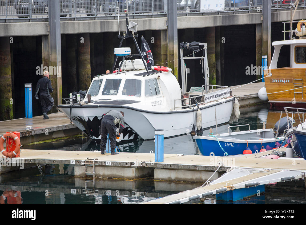Orkney Diving High Resolution Stock Photography and Images - Alamy