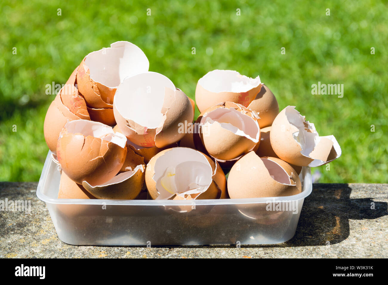 Eggshells gardening hi-res stock photography and images - Alamy