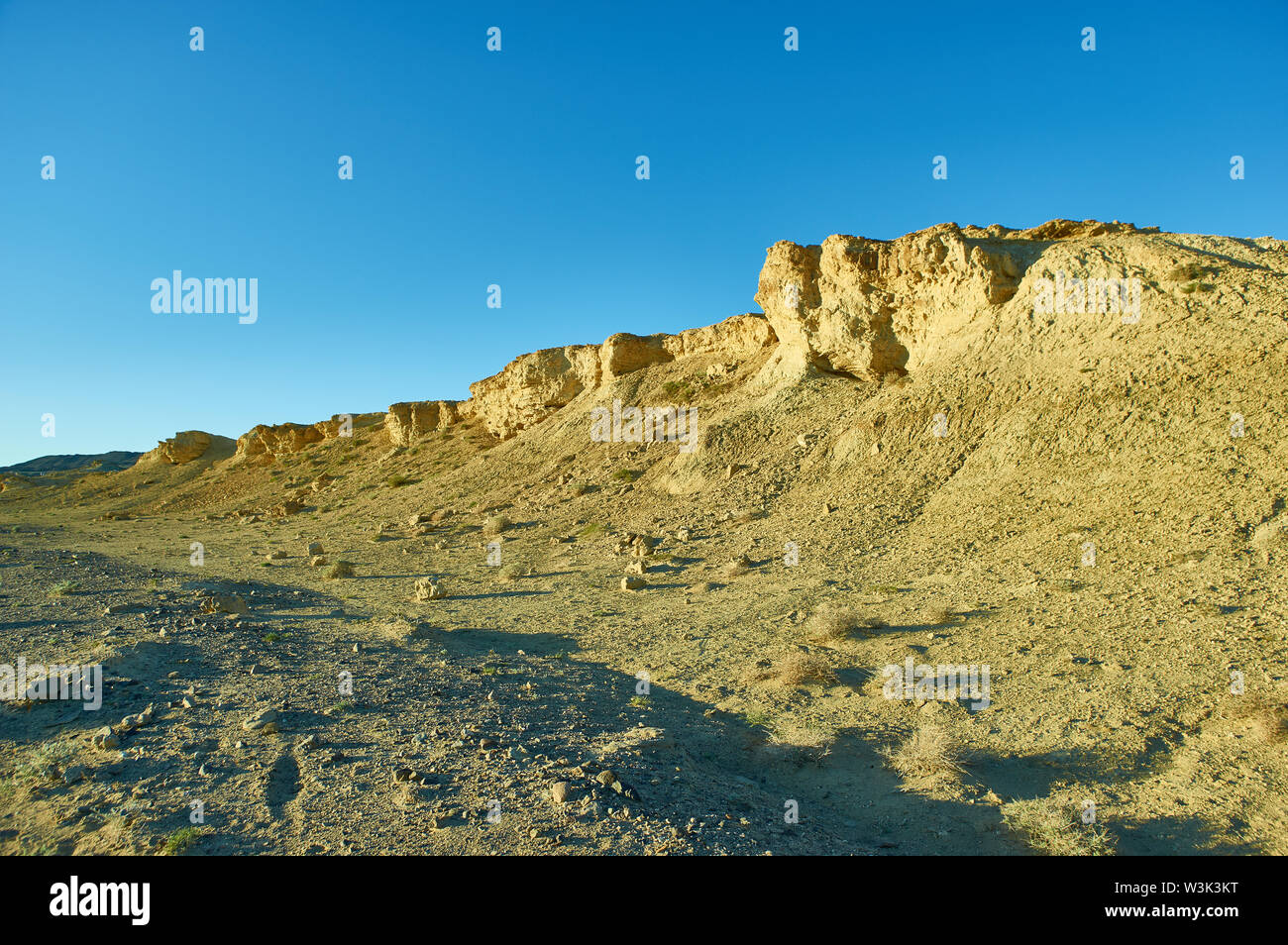 Plateau near the lake Khyargas Nuur, mongolian Ustyurt Plateau Stock ...