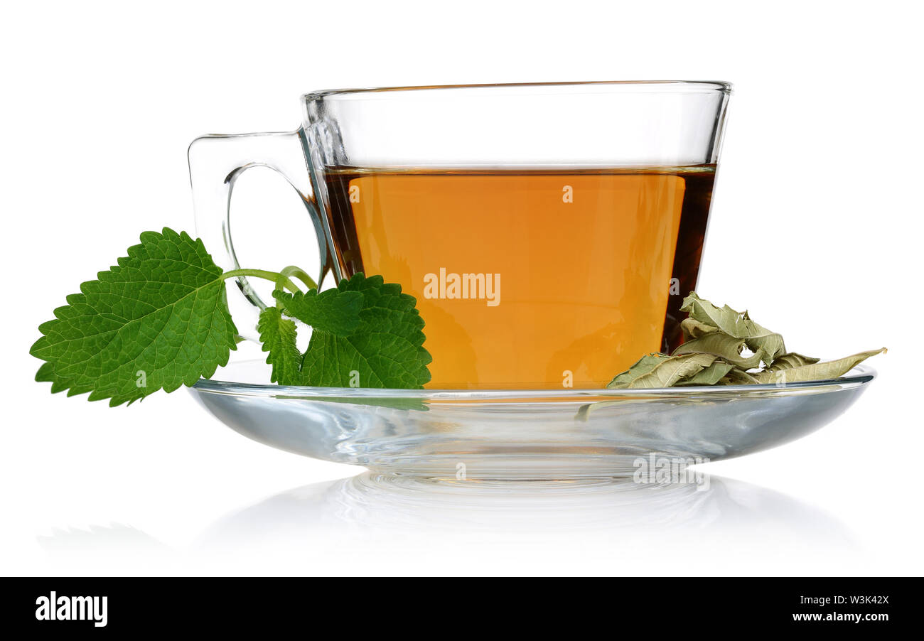 Melissa tea in a glass cup and green lemon balm leaves on white ...