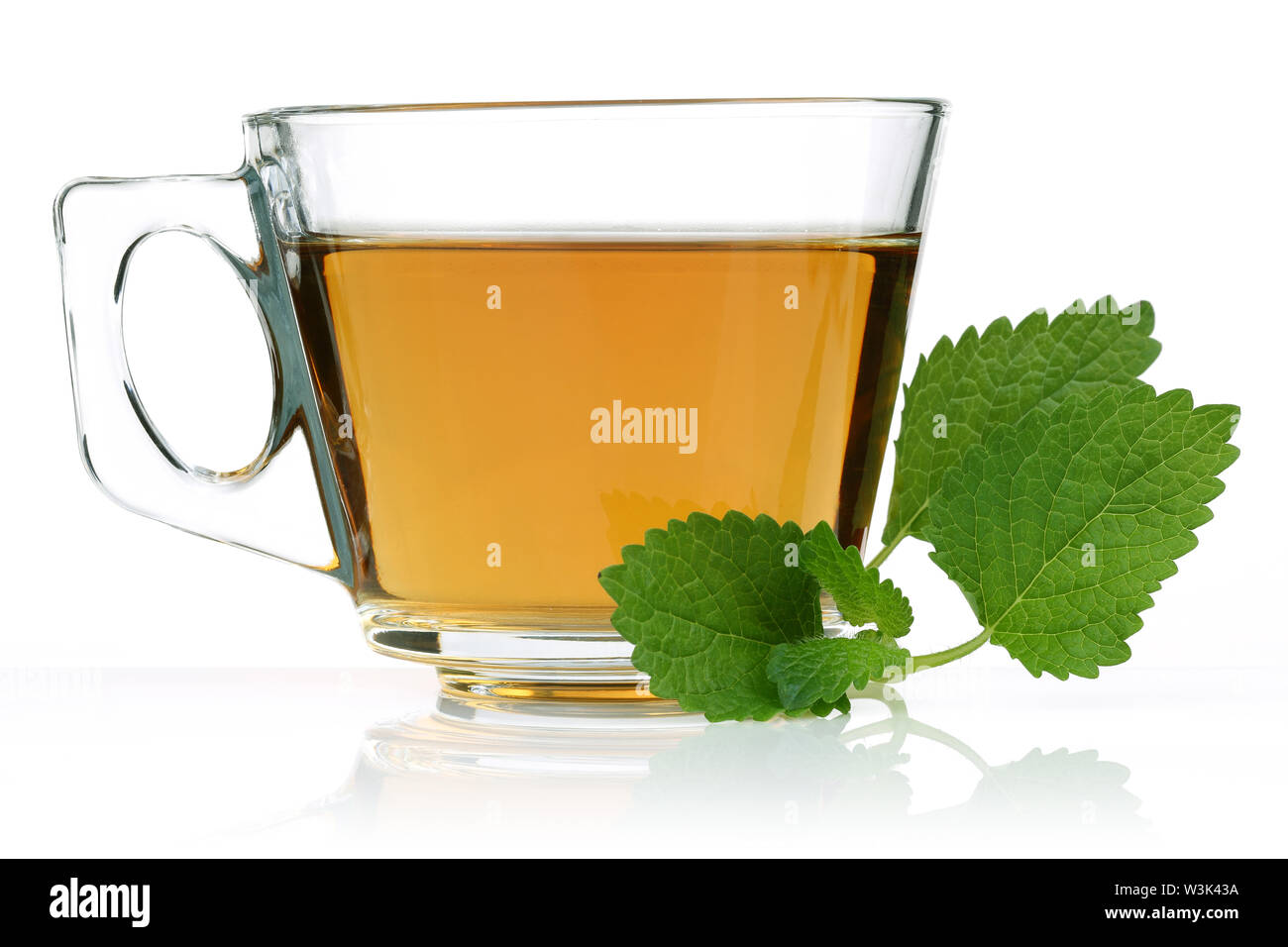 Melissa tea in a glass cup and green lemon balm leaves on white ...