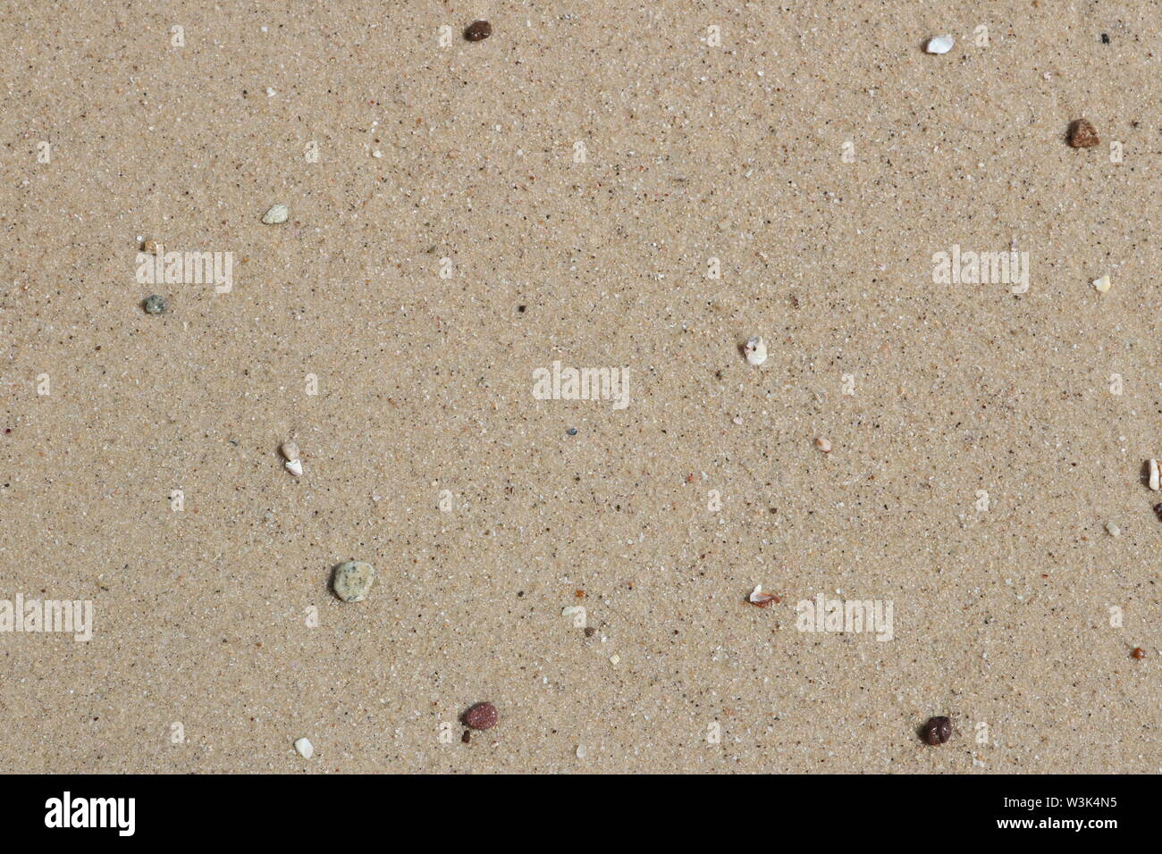 Shoreline sand water wet hi-res stock photography and images - Alamy