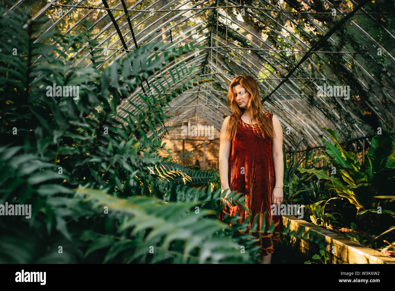 Attractive young woman standing in a ray of sunshine shining through ...