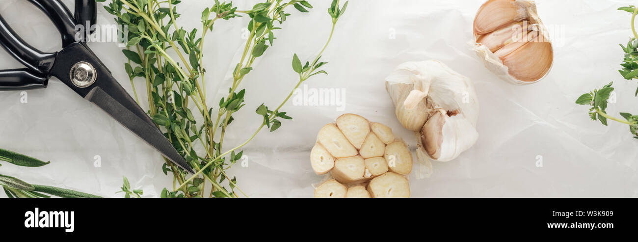 panoramic shot of garlic cloves, scissors and thyme on white paper ...