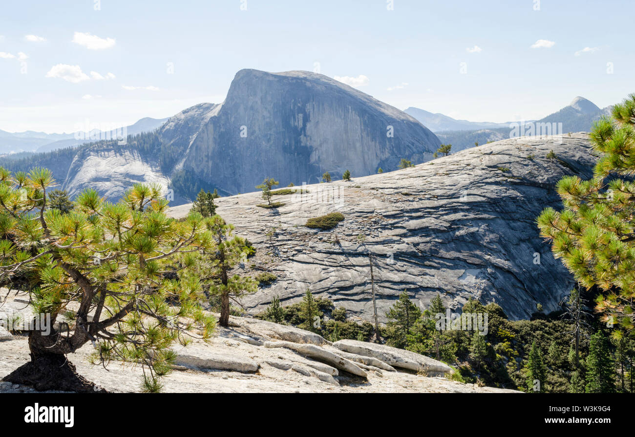 Dome Mountain Formation