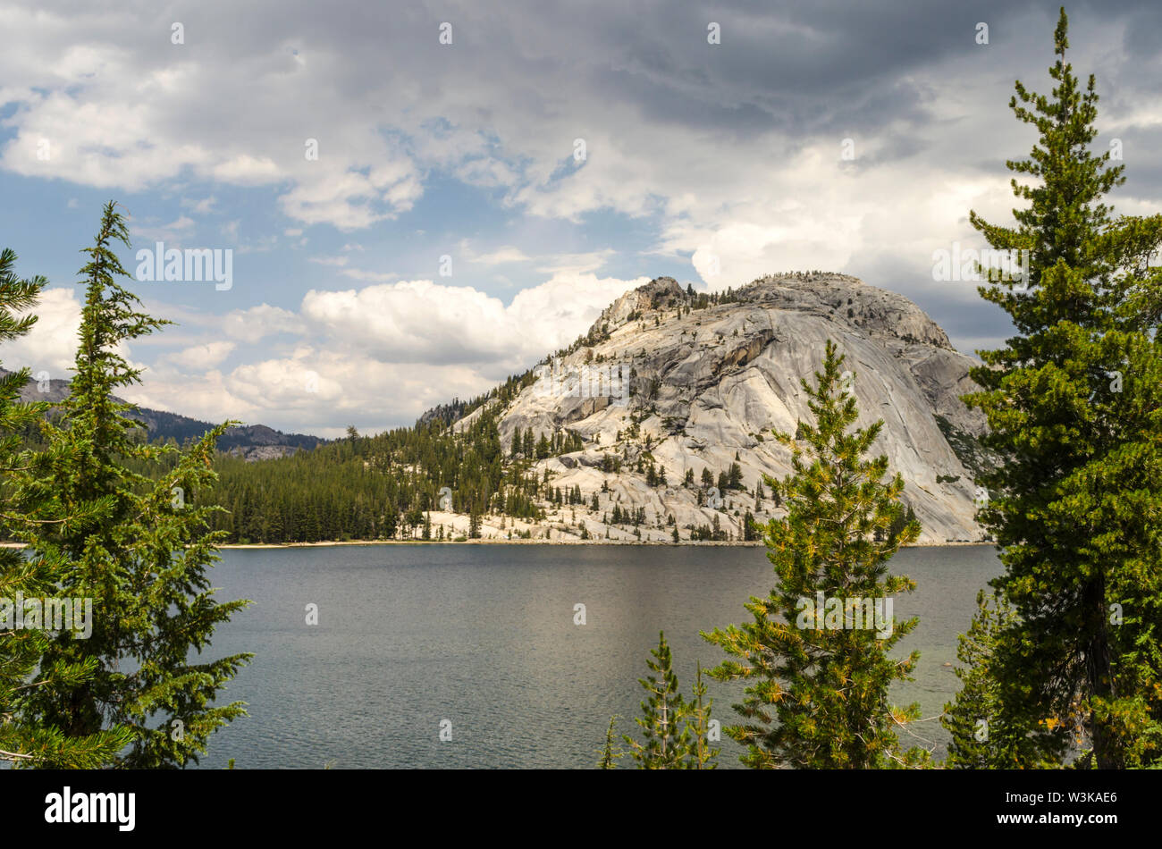 Tenaya Lake. Yosemite National Park, California, USA Stock Photo - Alamy