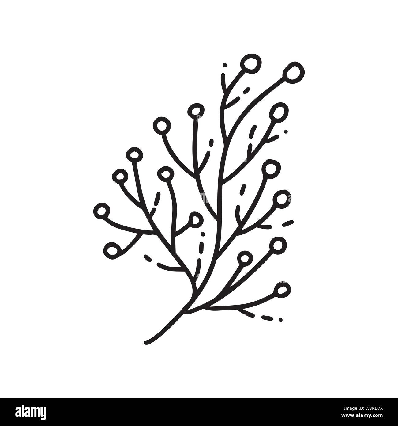 Vector monoline illustration branch with seeds natural icon. Black logo ...