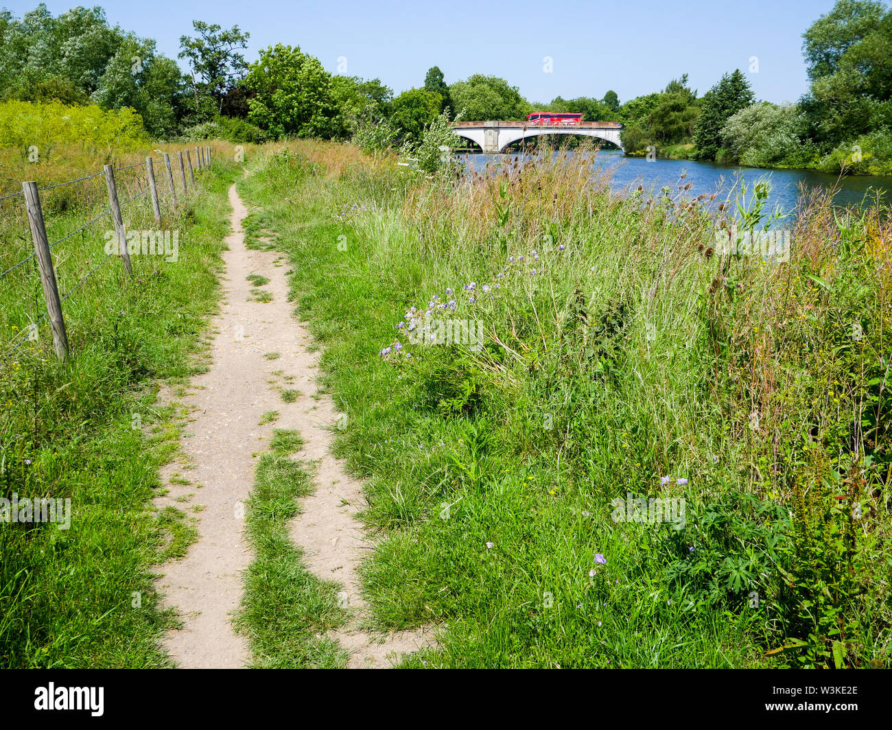 The Thames Path Crosses, Albert Bridge, Datchet, Berkshire, England, UK ...