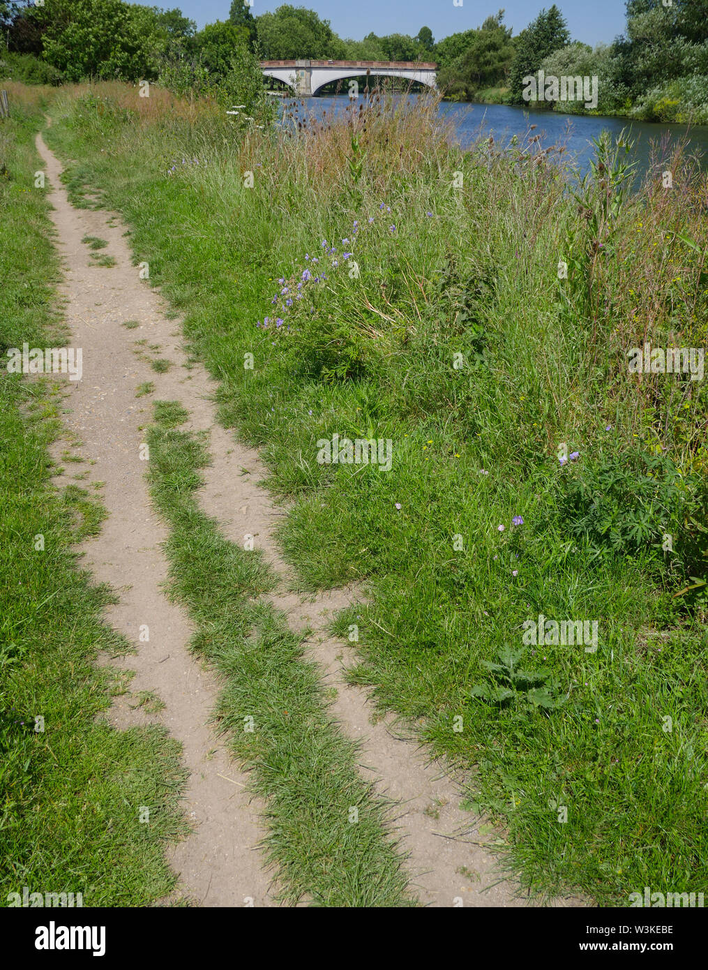 The Thames Path Crosses, Albert Bridge, Datchet, Berkshire, England, UK ...