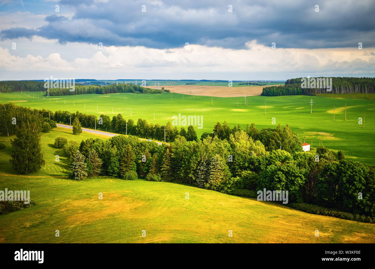Summer rural landscape. Vast fields, meadows and trees Stock Photo - Alamy