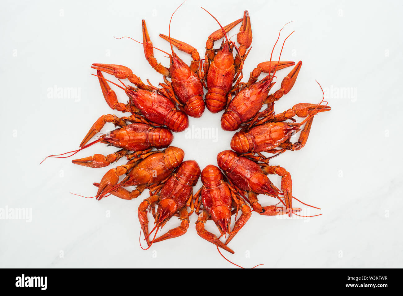 top view of red lobsters on white background Stock Photo - Alamy