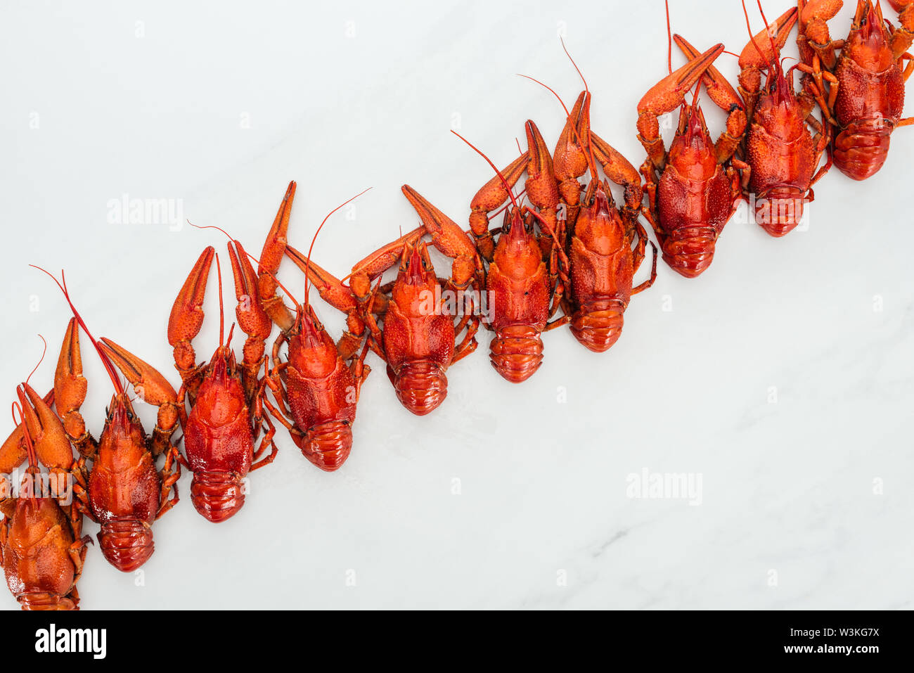 top view of red lobsters on white background Stock Photo - Alamy