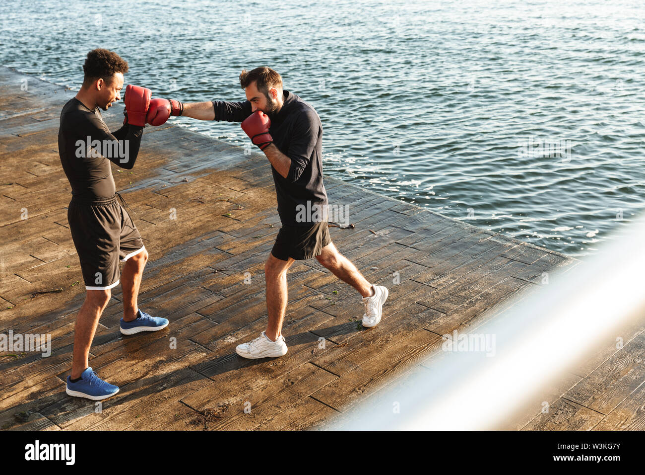 Image of concentrated handsome strong two young sports men boxers ...