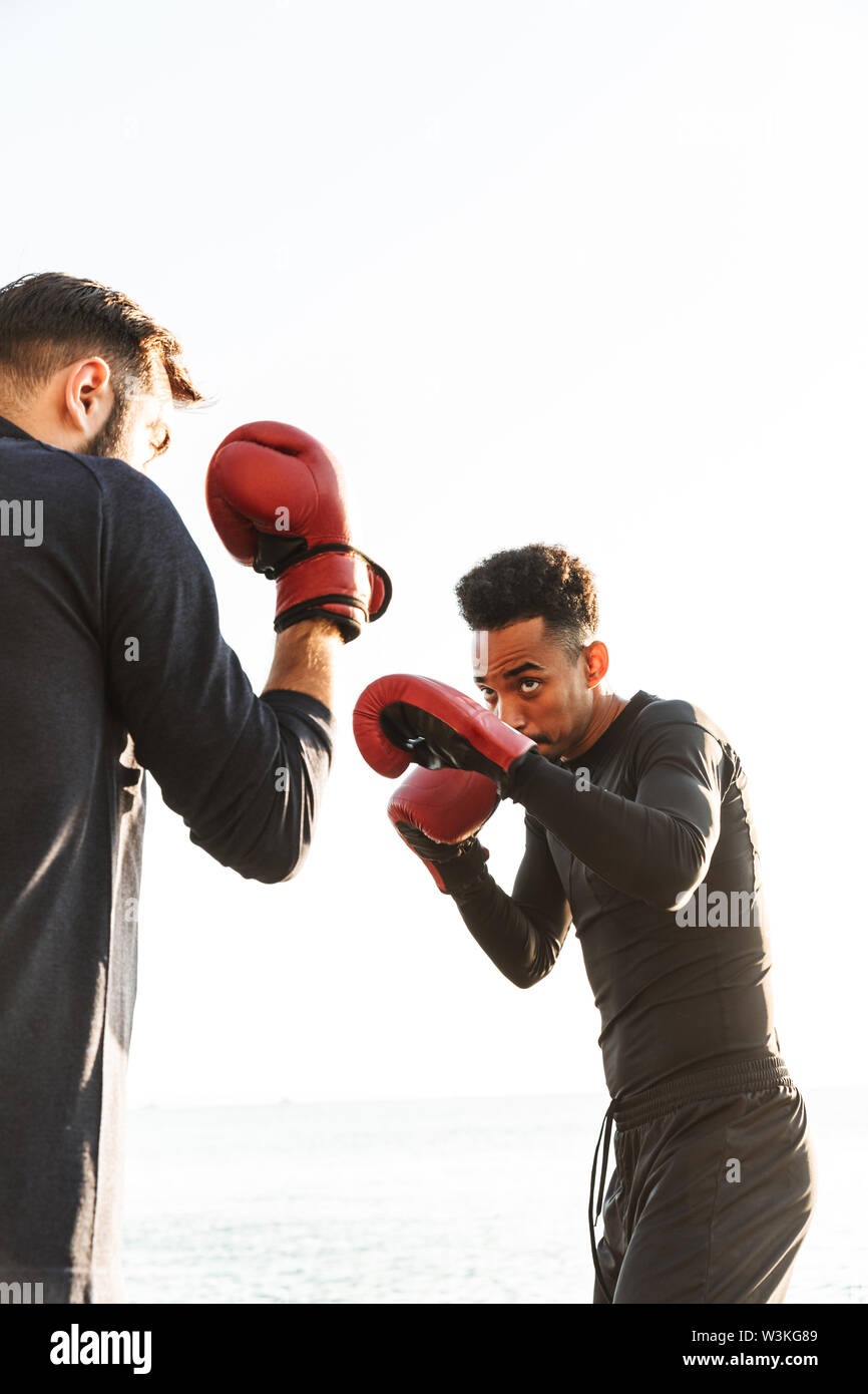 Image of concentrated handsome strong two young sports men boxers ...