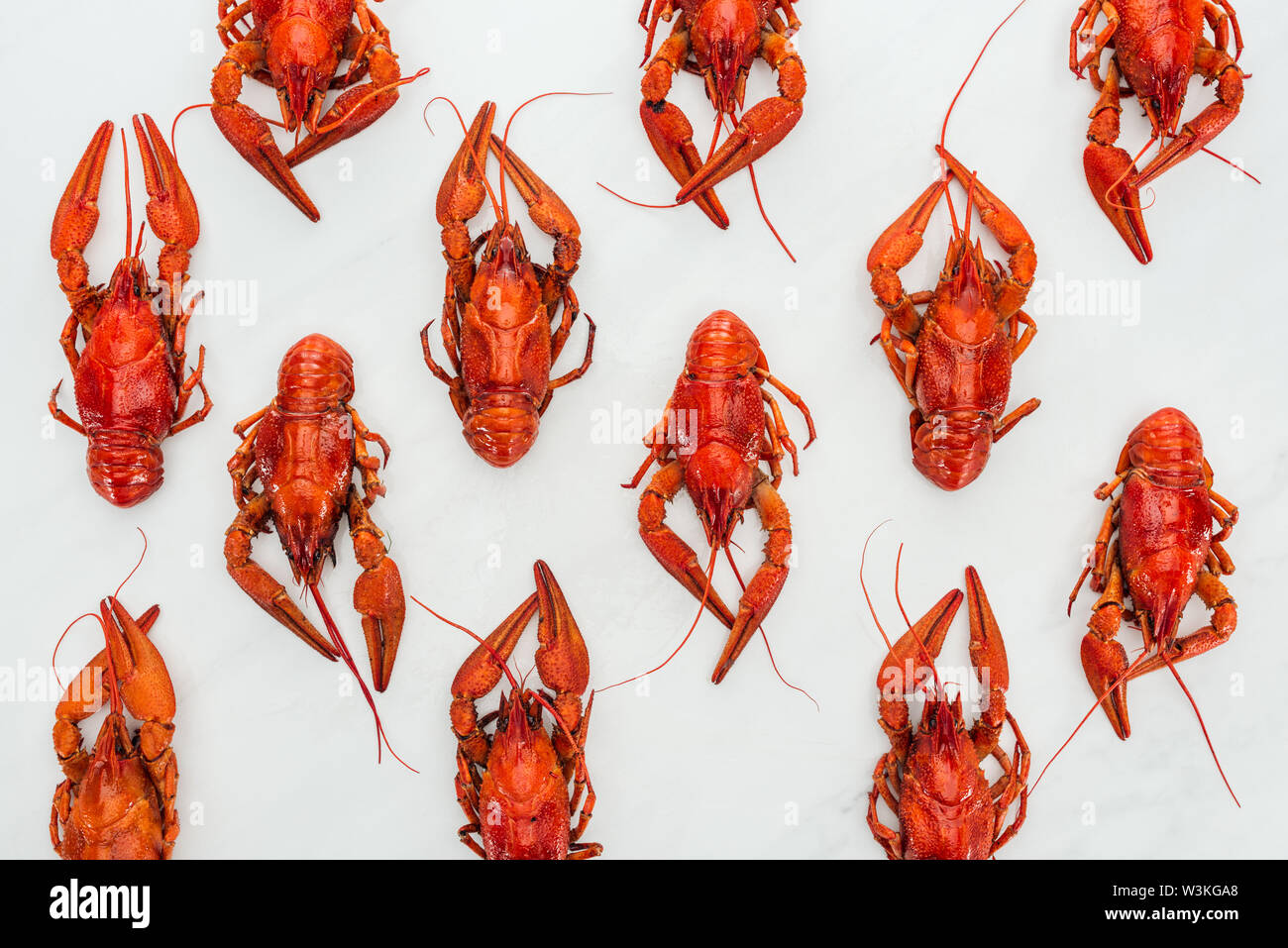 top view of red lobsters on white background Stock Photo - Alamy