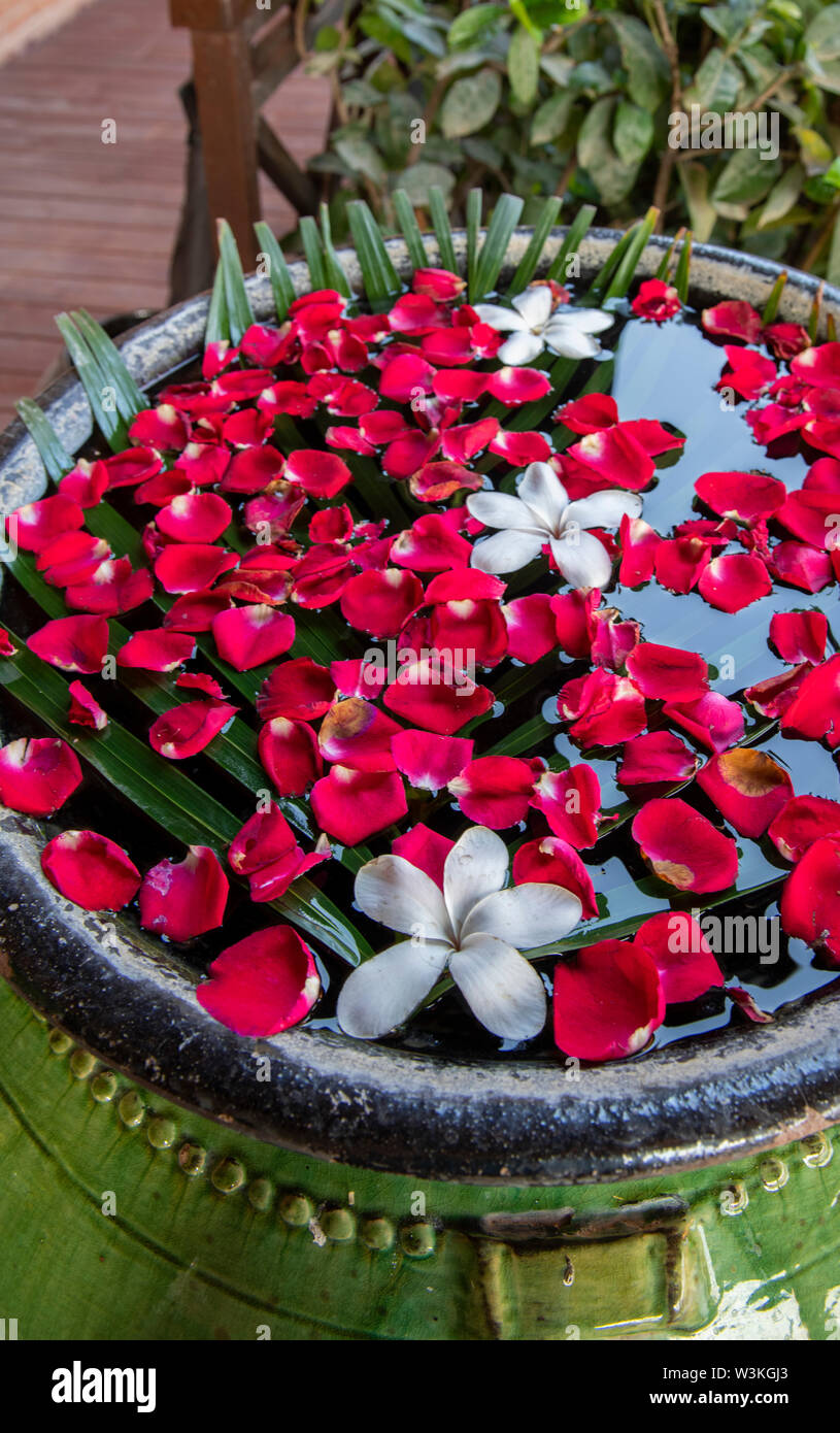 Myanmar aka Burma, historic Bagan. Bagan Lodge, decorative flower ...