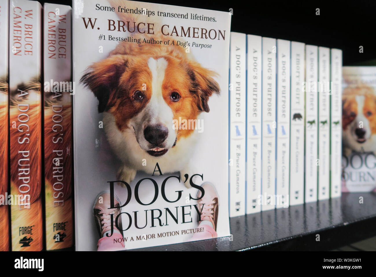 A Dogs Journey Cast Dogs Breed