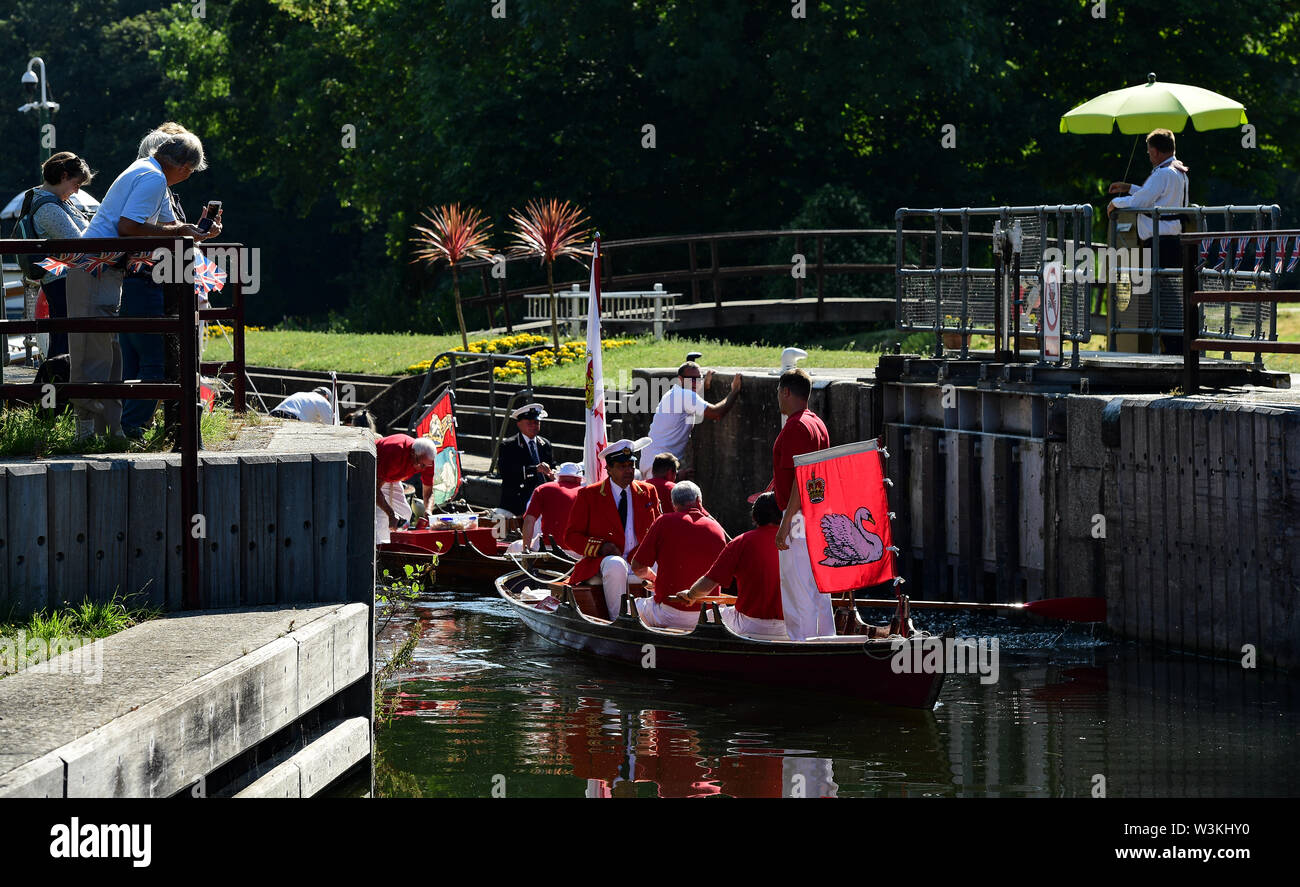 Traditional royal Swan Upping event on the Thames River, July 2019 ...