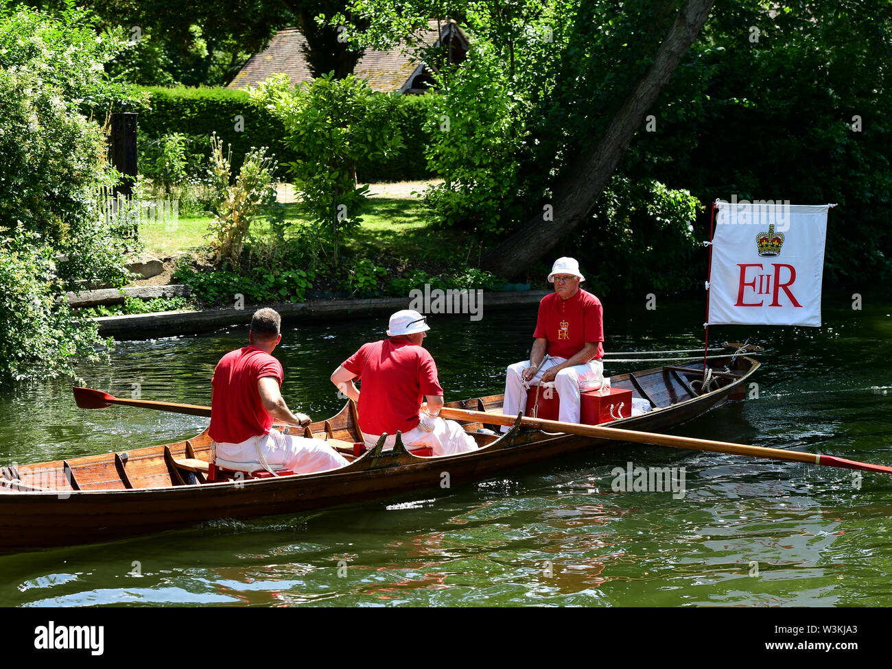 Traditional royal Swan Upping event on the Thames River, July 2019 ...