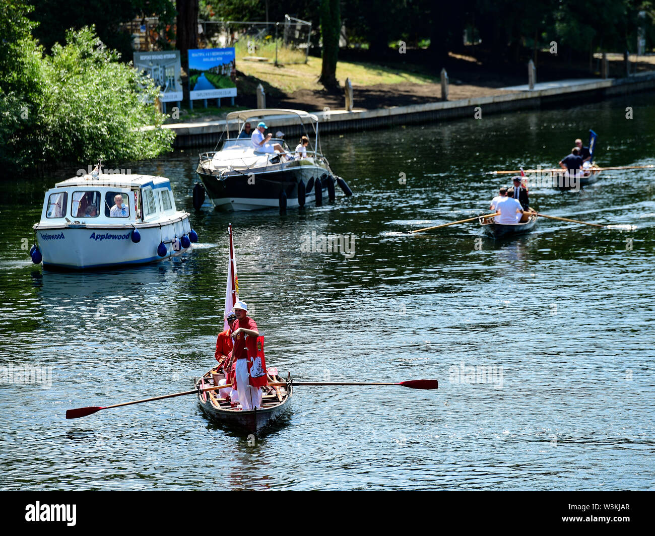 Traditional royal Swan Upping event on the Thames River, July 2019 ...