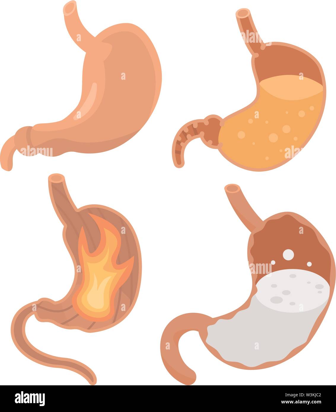 Stomach icons set, isometric style Stock Vector Image & Art - Alamy