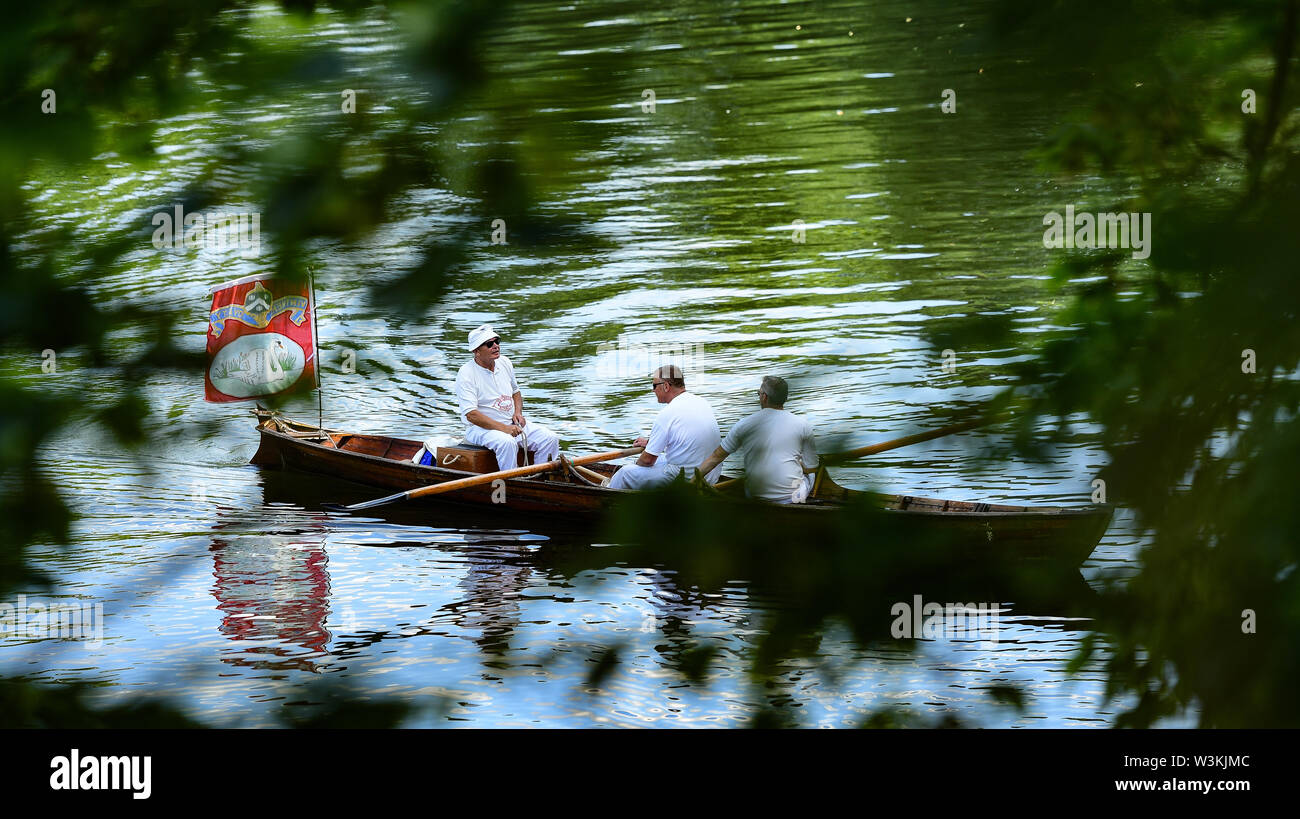 Traditional royal Swan Upping event on the Thames River, July 2019 ...