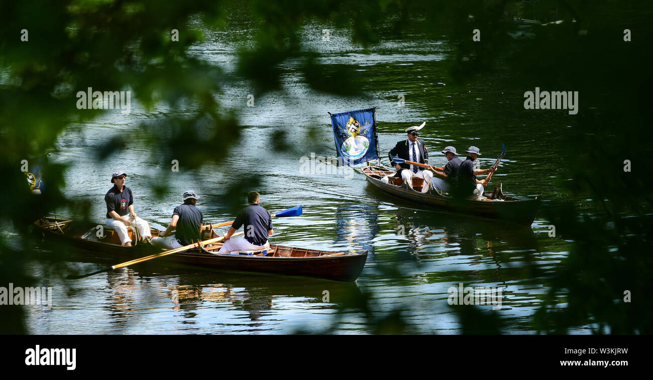 Royal swan hi-res stock photography and images - Alamy