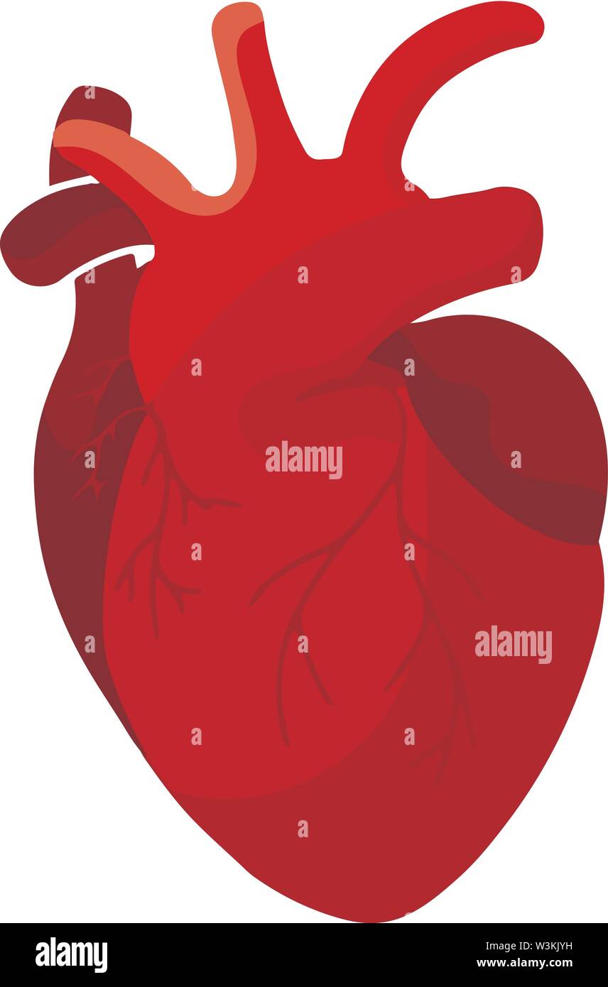 Creative medicine concept. Anatomical human heart cartoon design icon ...