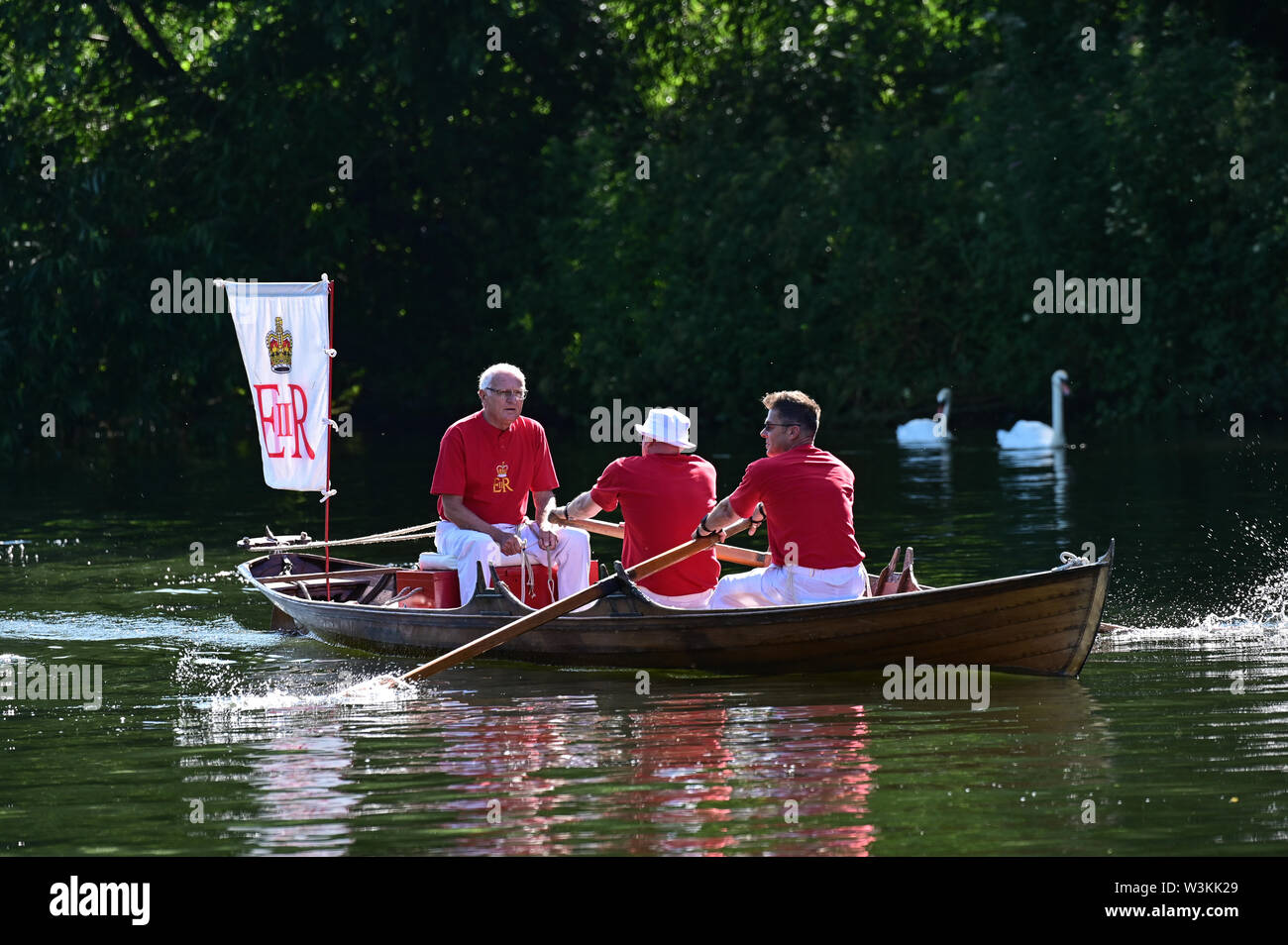 Royal swan hi-res stock photography and images - Alamy