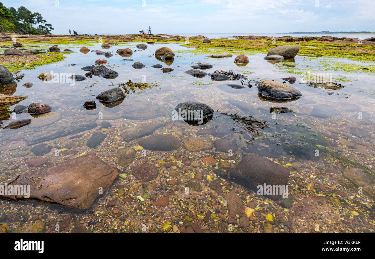 Rock pool on Tyninghame beach, East Lothian, Scotland, UK Stock Photo ...